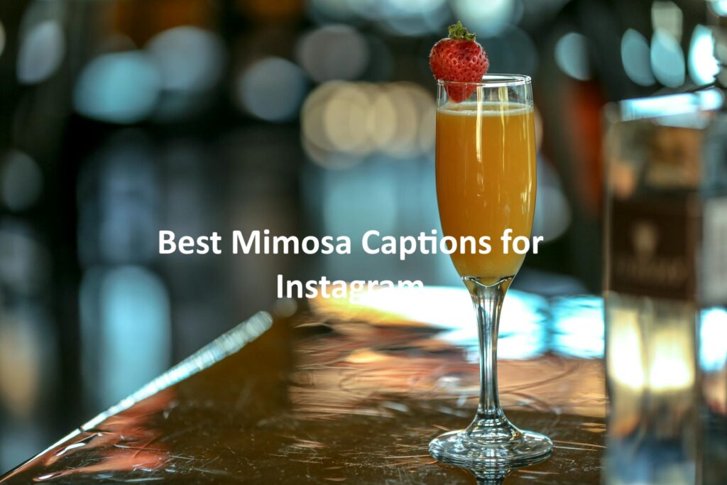 80+ Best Mimosa Captions for Instagram Photos