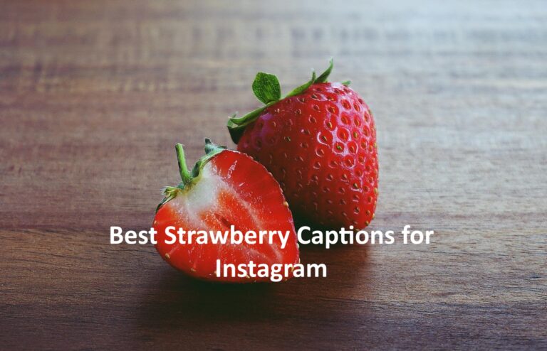 100+ Best Strawberry Captions for Instagram Photos